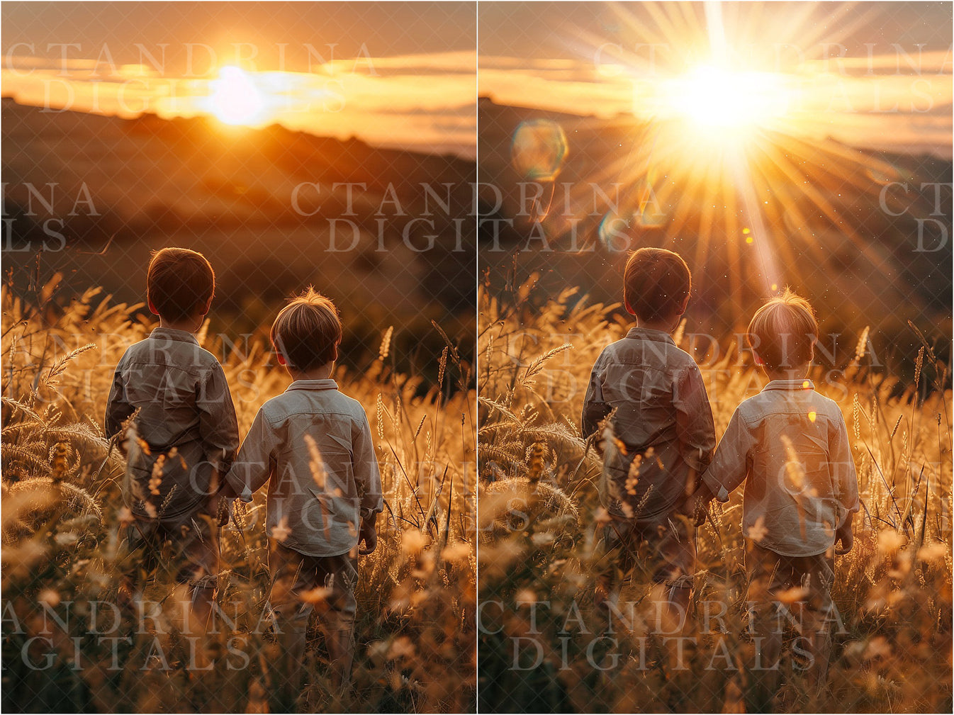 Sunlight Rays and Flare Digital Backdrops Overlays – CTandRinaDigitals