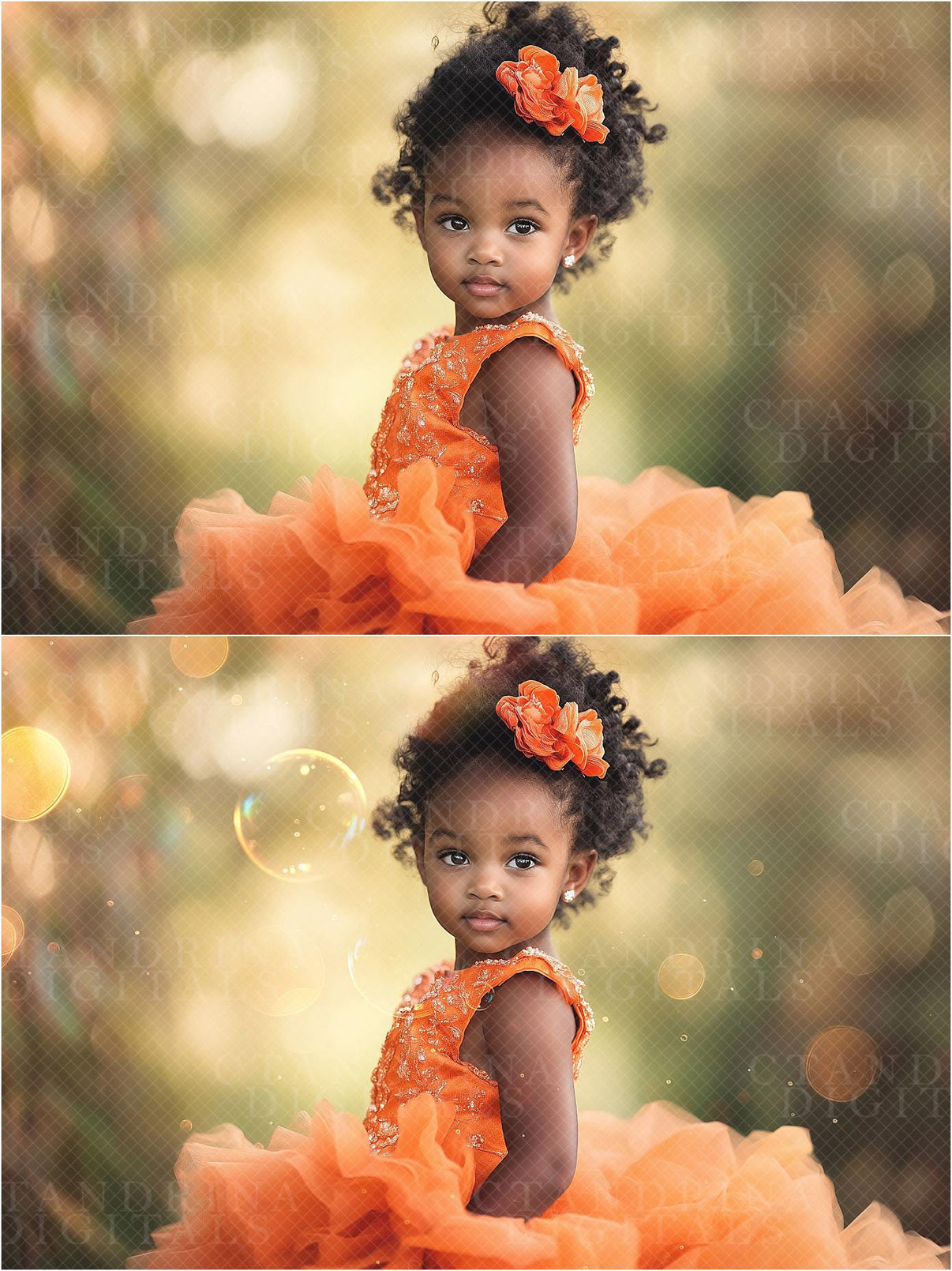 Bubbles and Bokeh Digital Backdrop Overlays – CTandRinaDigitals