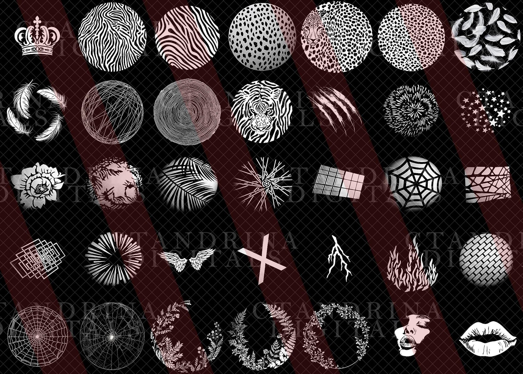 Snoot and Shape Digital Backdrop Overlays Vol. 2 – CTandRinaDigitals