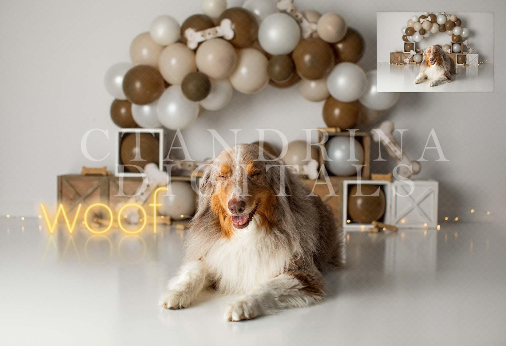 Cake Smash PNG Neon Sign Overlays – CTandRinaDigitals