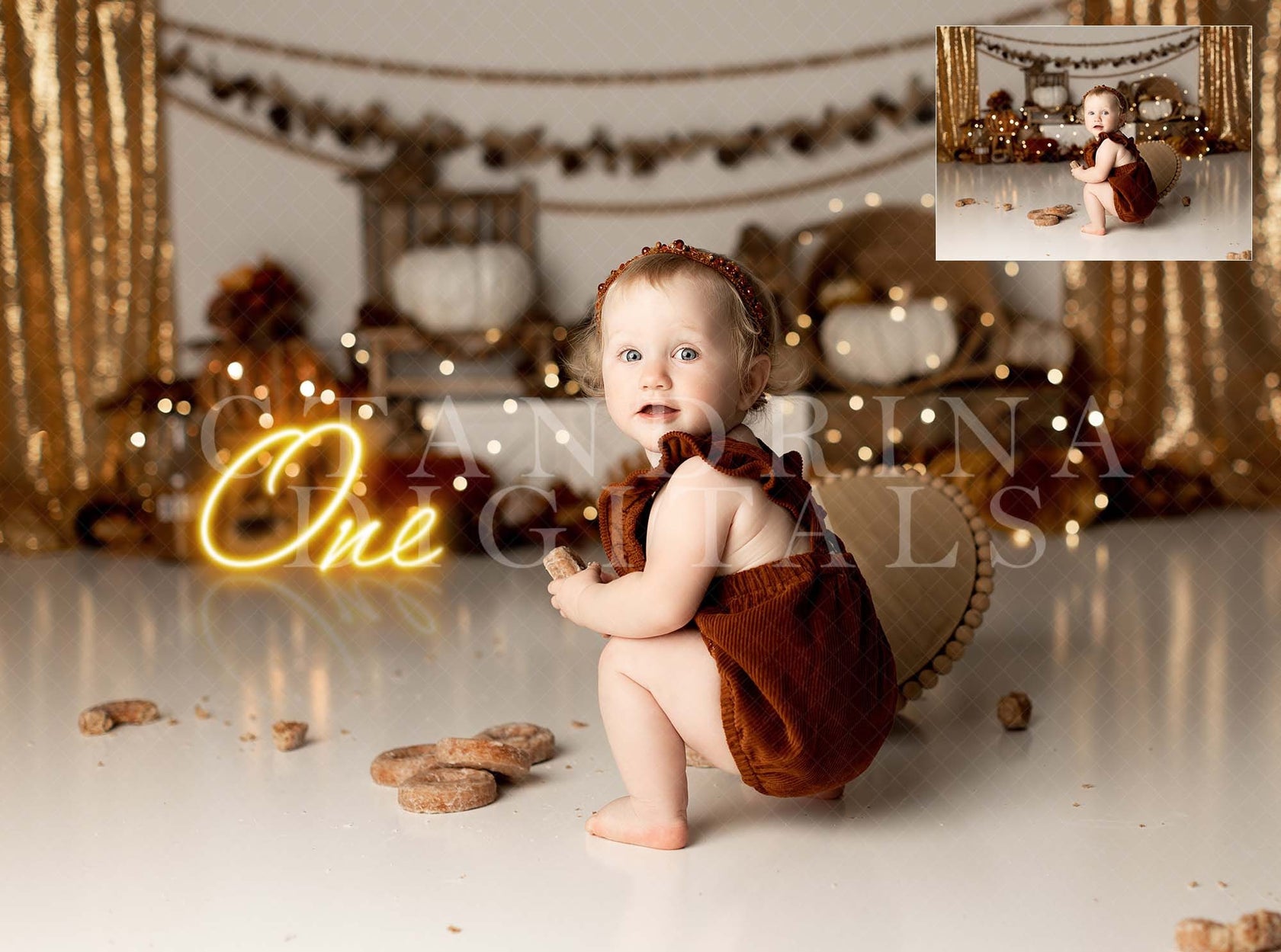 Cake Smash PNG Neon Sign Overlays – CTandRinaDigitals