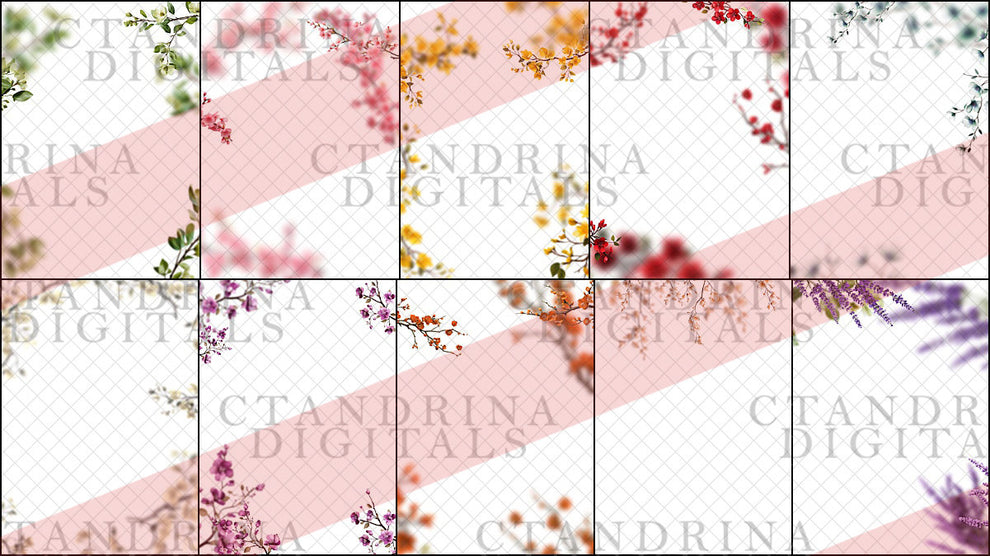 Floral Branch PNG Backdrop Overlays – CTandRinaDigitals