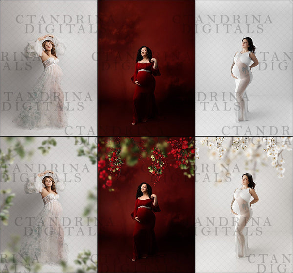 Floral Branch PNG Backdrop Overlays – CTandRinaDigitals
