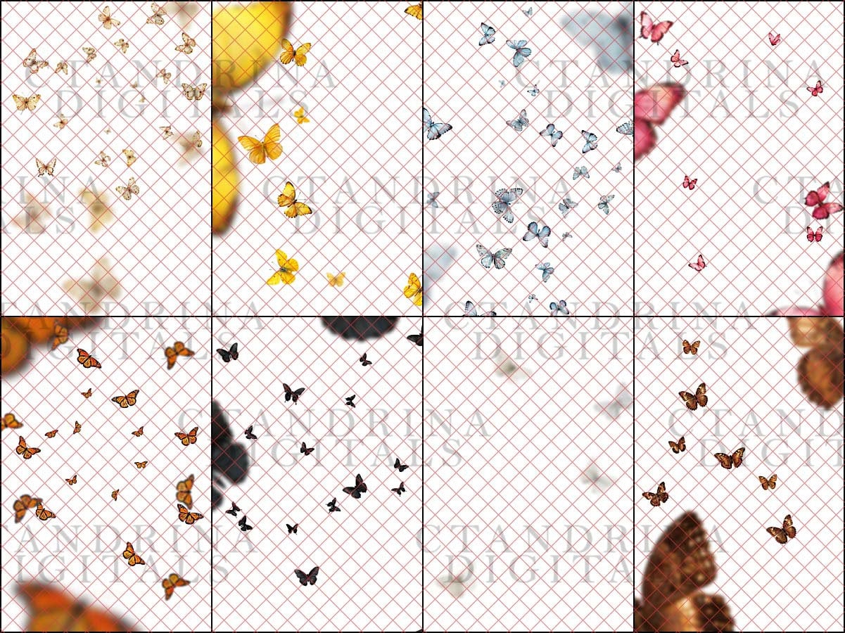 Butterfly Backdrop Overlays – CTandRinaDigitals